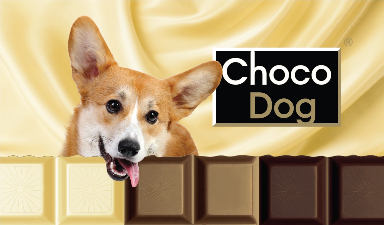 Новинка — шоколад для собак CHOCO DOG 45 г | Интернет-магазин «Фитобокс ...